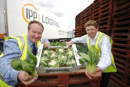 Pallet rental specialist IPP Logipal develops dedicated pallet solution ...