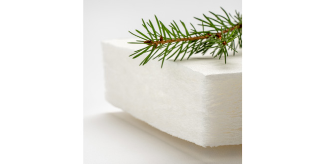 Stora Enso introduces portfolio for bio-based packaging foam ...